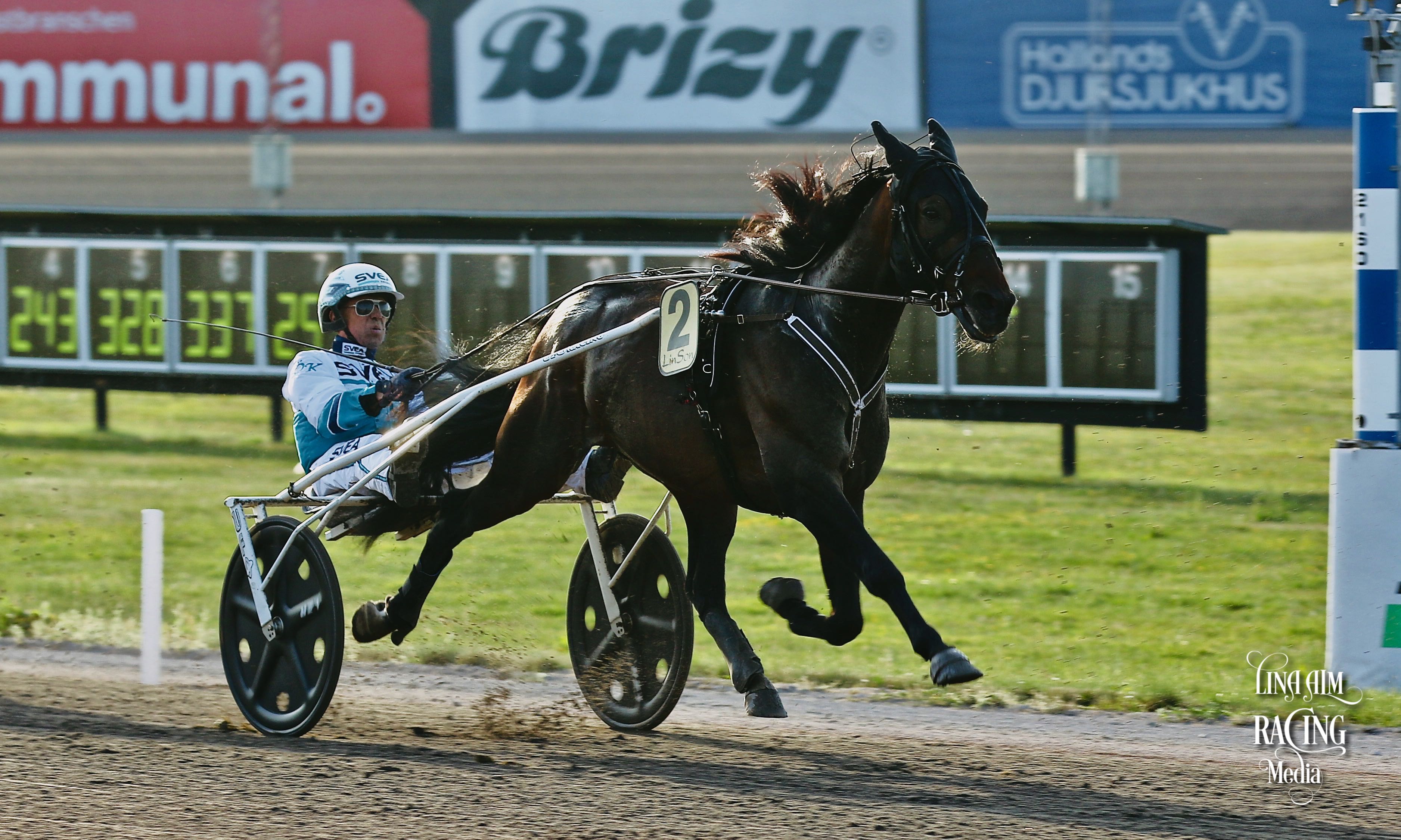 Perfect Spirit (US) | SRF Stable